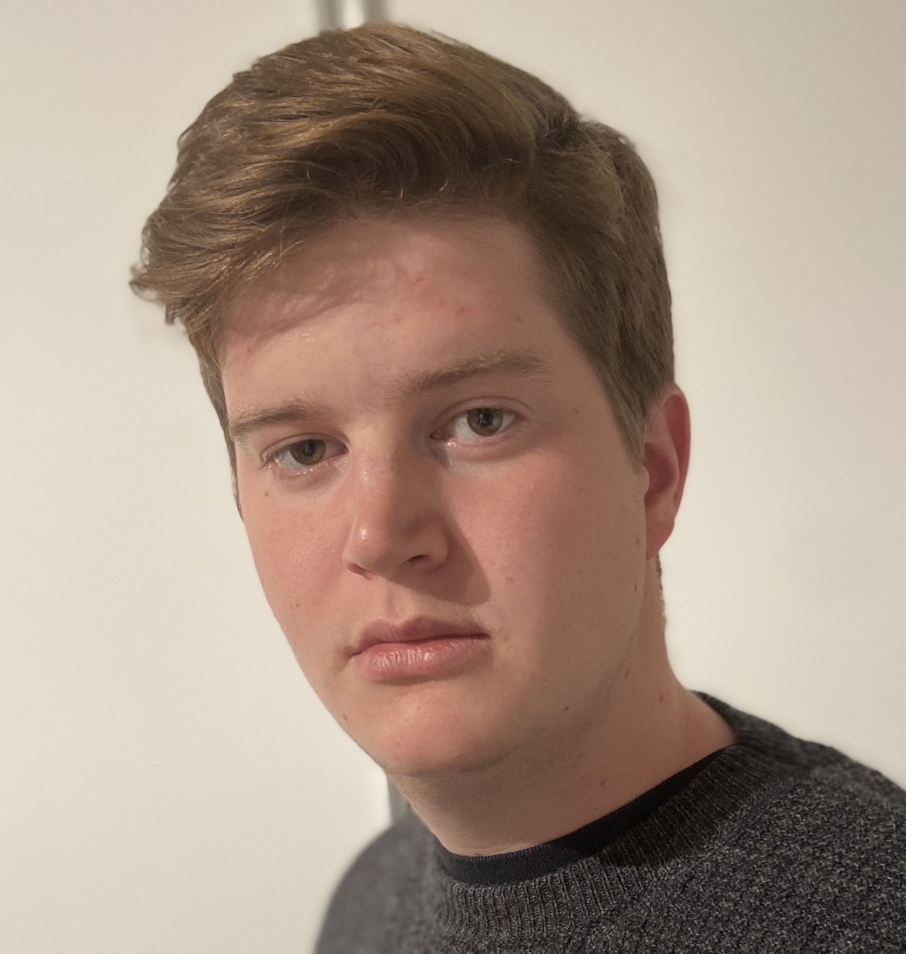 Vísindavefurinn: Victor Karl Magnússon